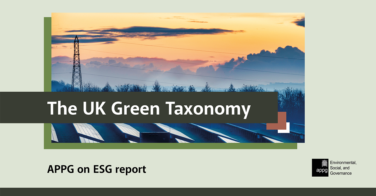 APPG on ESG publish The UK Green Taxonomy